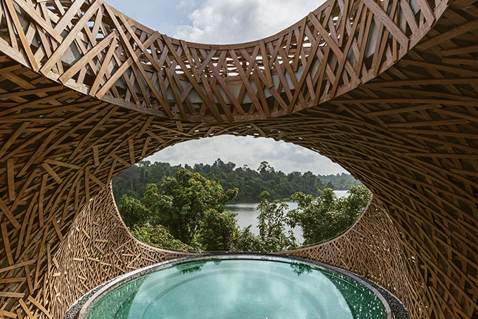 Checking in: Mandai Rainforest Resort by Banyan Tree brings the ...