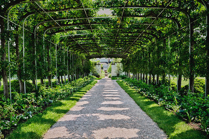 Jean Schlumberger’s Bird on a Rock by Tiffany & Co. takes flight