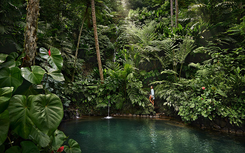 In the lush heart of Bali, Como Shambhala Estate is a haven of healing
